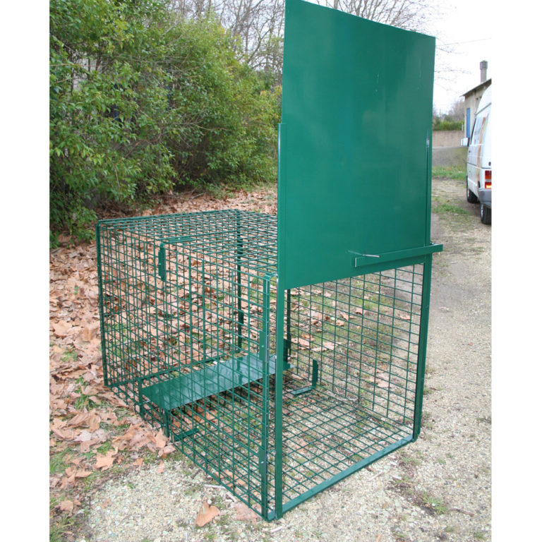 Réglementation des cages-pièges à sangliers – Saint-Vincent-de ...