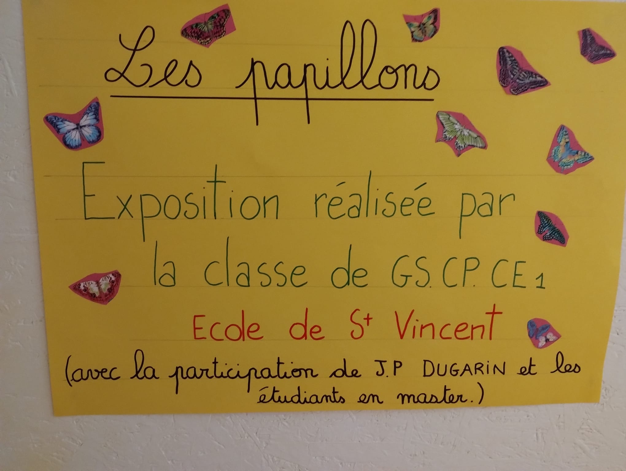Une expo sur les papillons, des élèves de G.S CP CE1… – Saint-Vincent ...